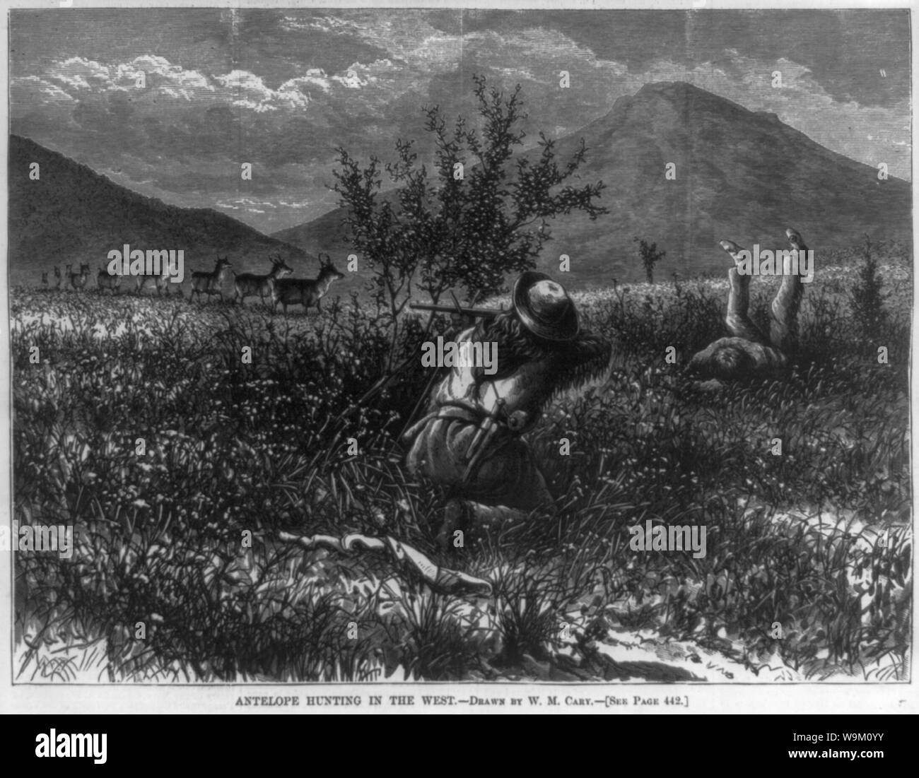 Antelope Hunting in the West Stock Photo - Alamy