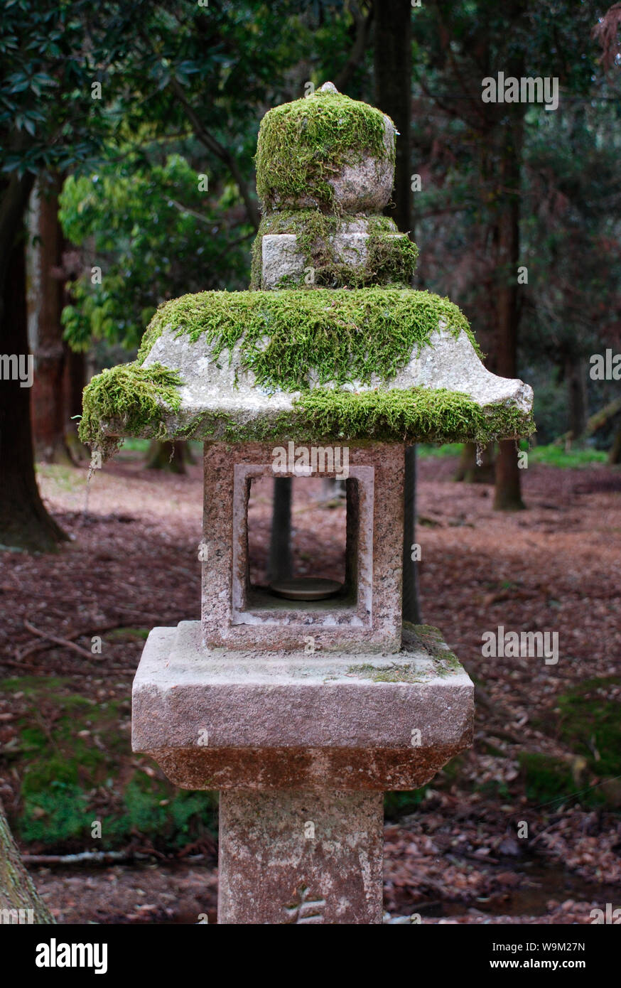 Japanese lanterns forest hi-res stock photography and images - Alamy