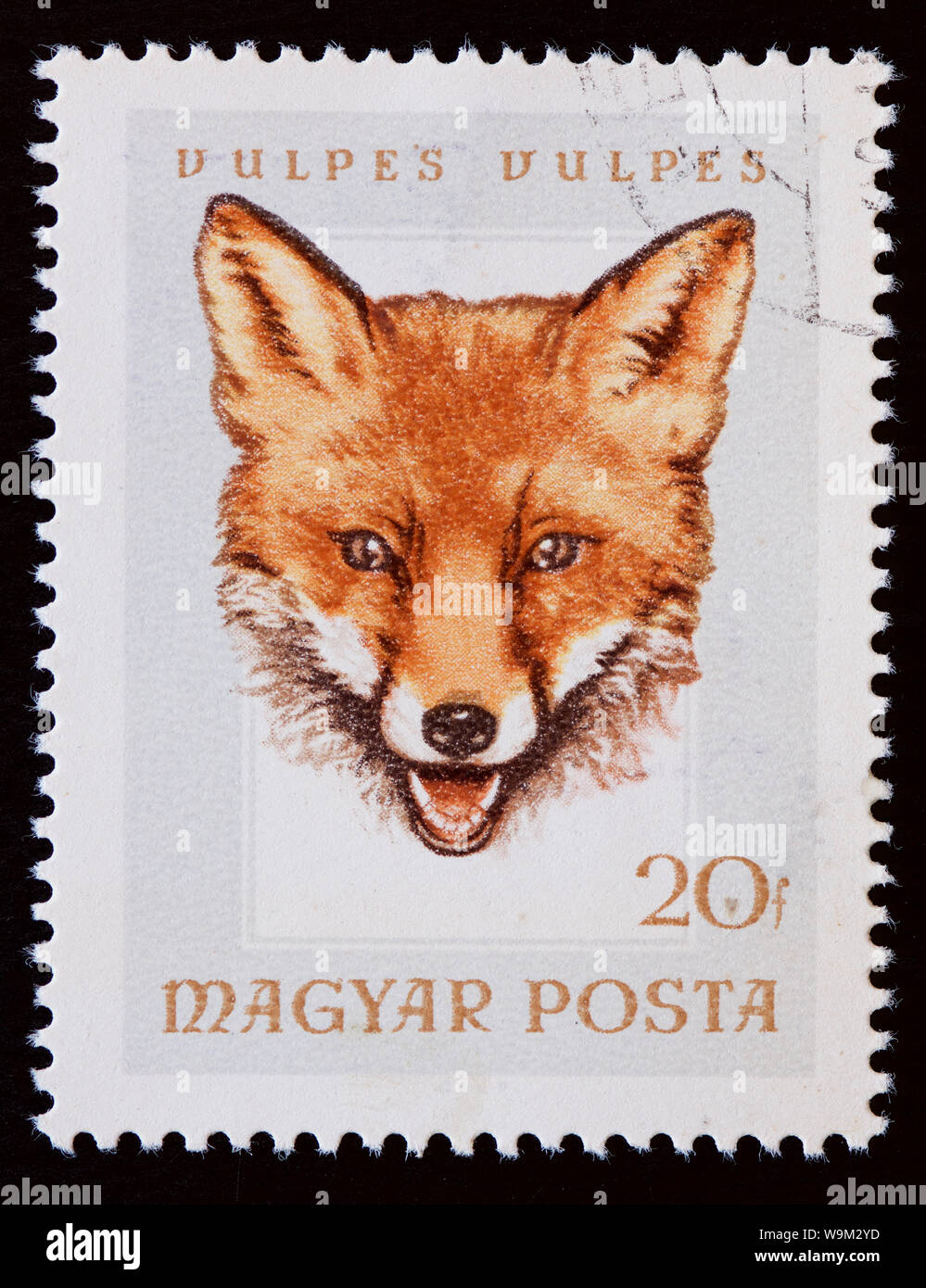 Hungary Postage Stamp - Red Fox (Vulpes vulpes Stock Photo - Alamy
