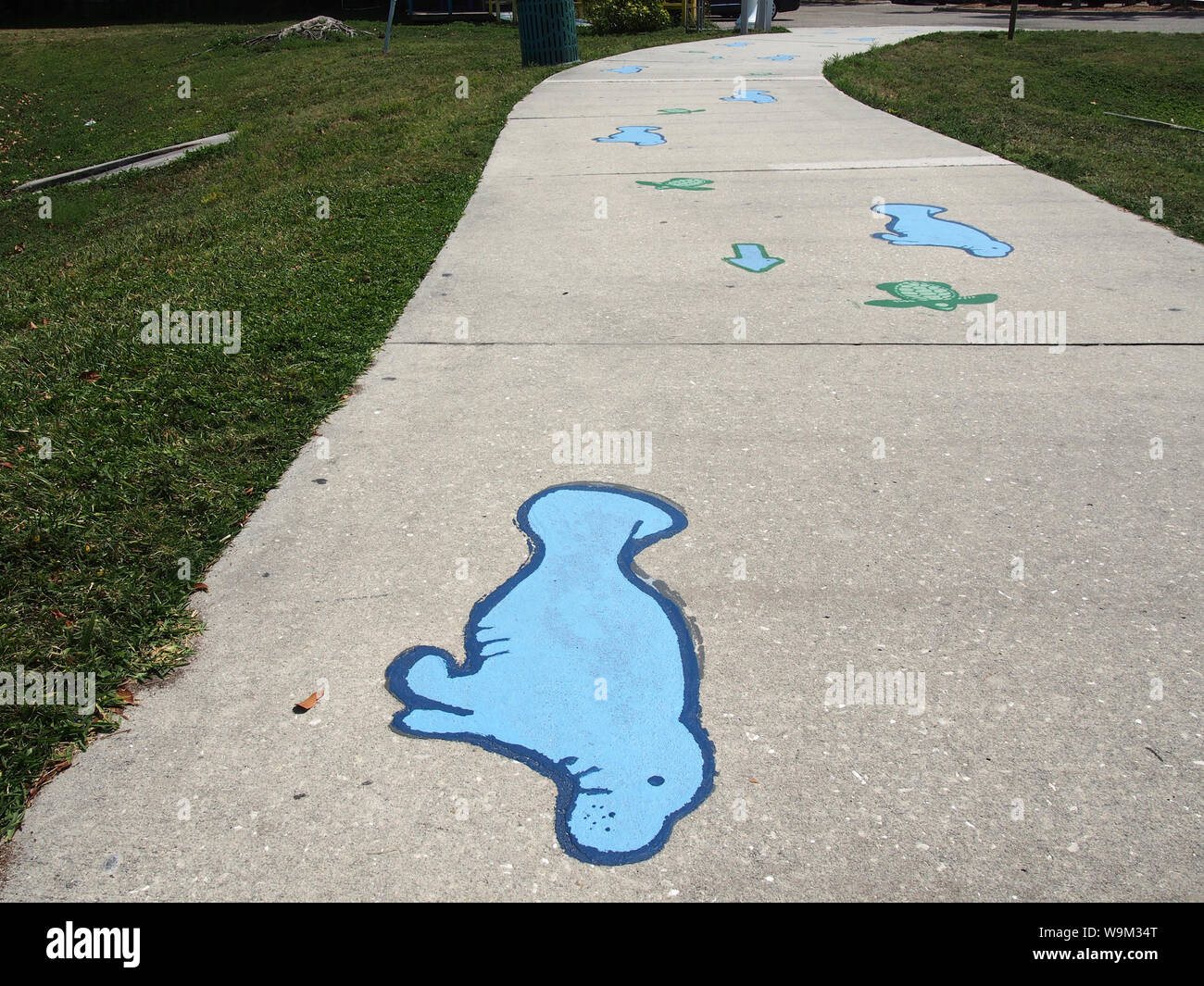 Sea life drawings on pathway between attractions at Mote Aquarium ...