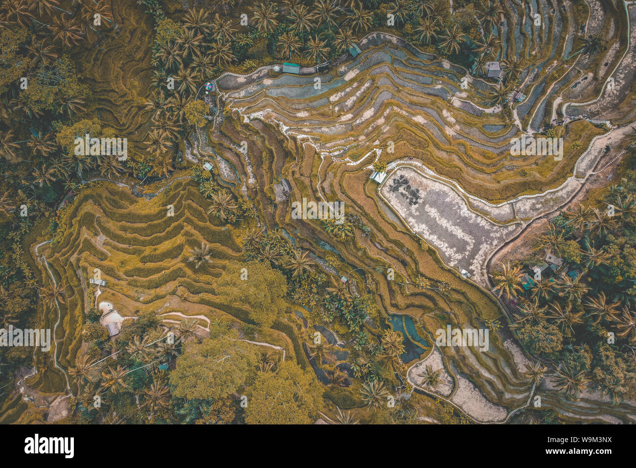 Tegallalang Rice Terraces from above, in Ubud, Bali, Indonesia Stock ...