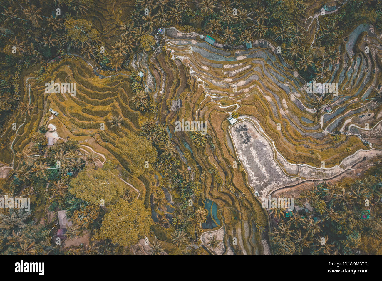 Tegallalang Rice Terraces from above, in Ubud, Bali, Indonesia Stock Photo - Alamy