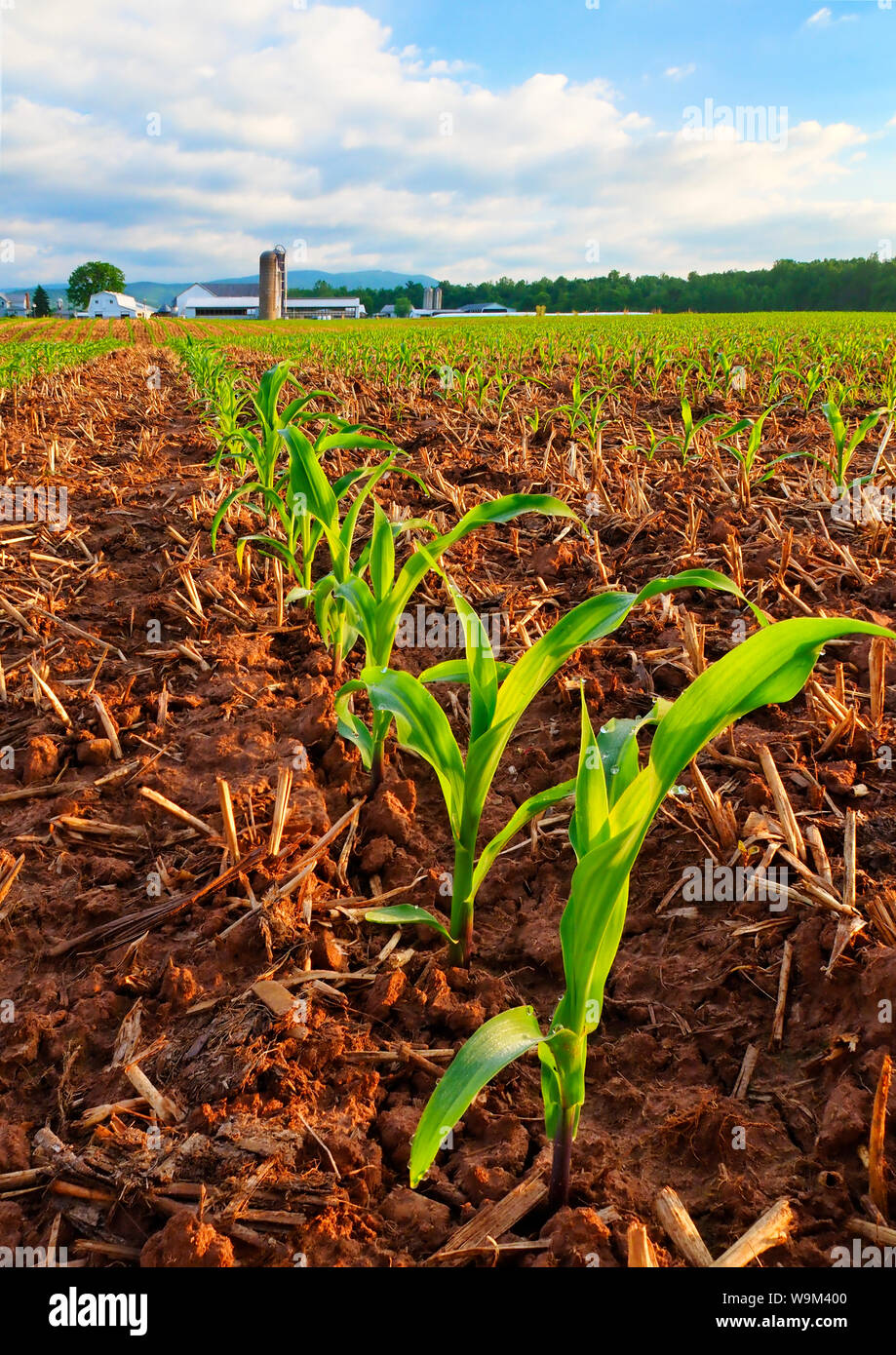 Dayton farms hi-res stock photography and images - Alamy