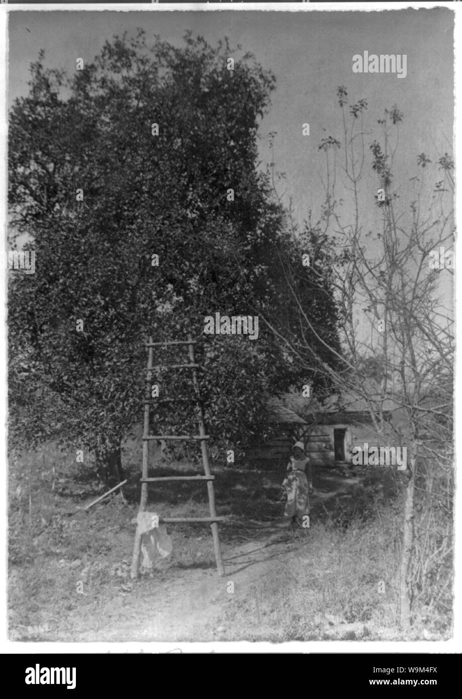 Farm apple Black and White Stock Photos & Images - Alamy