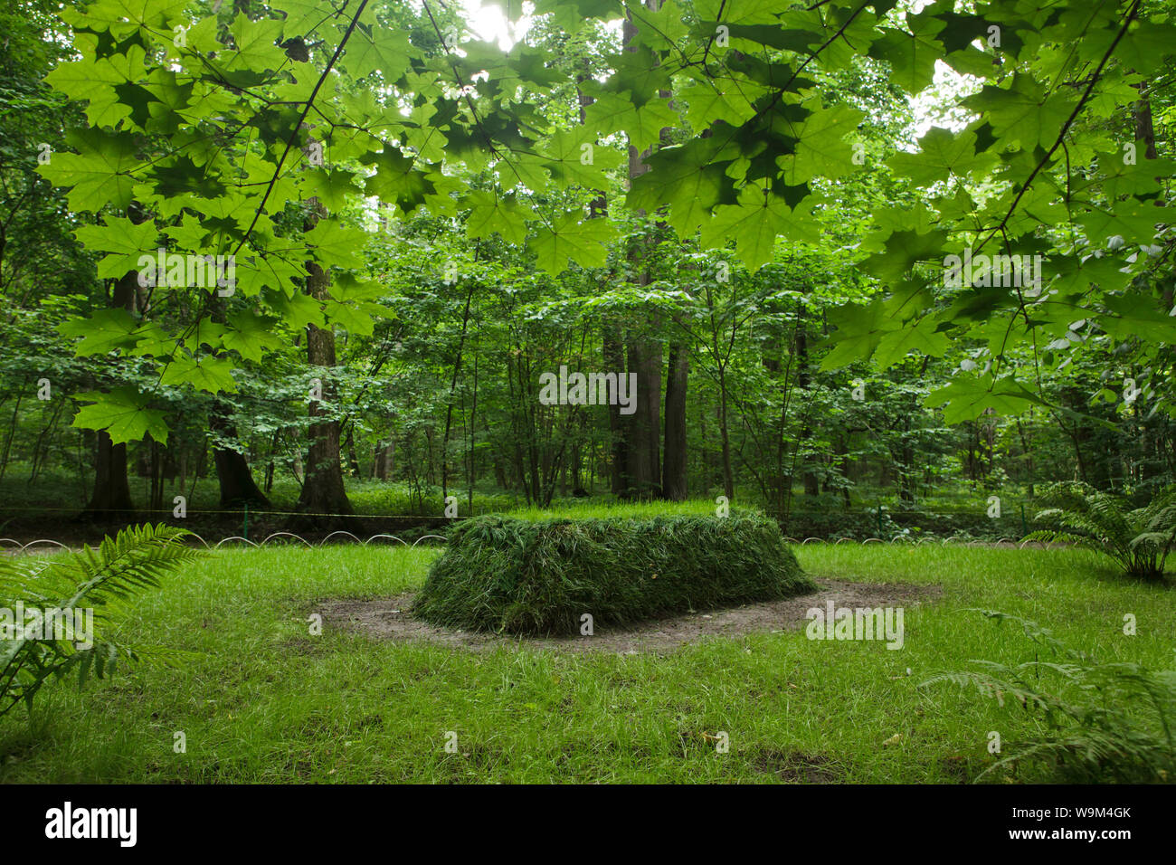 Grave Of Russian Writer Leo Tolstoy In The Park Of His Memorial Estate