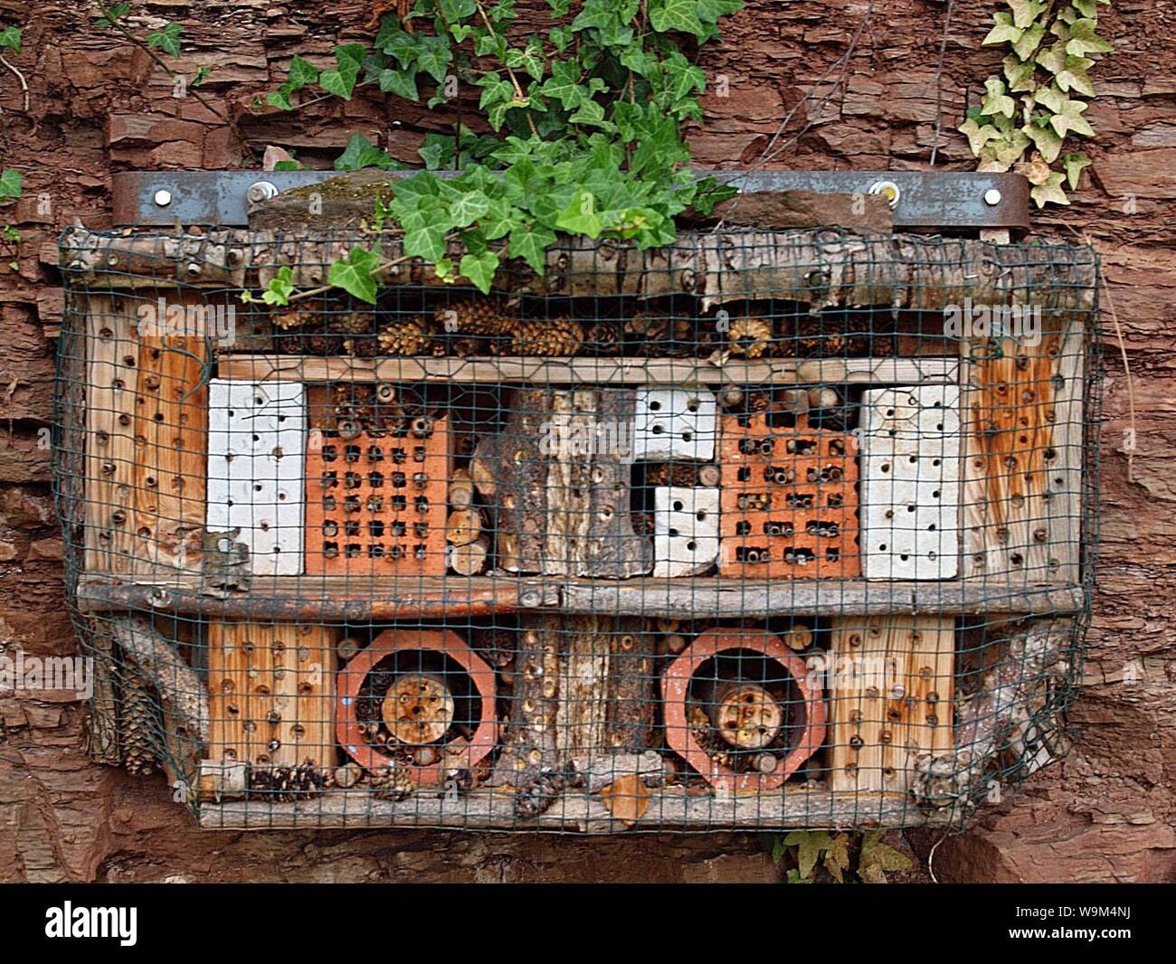 Insect hotel outside in a park Stock Photo - Alamy