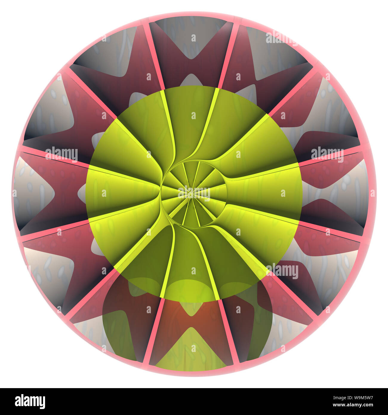 Twelve sections hi-res stock photography and images - Alamy