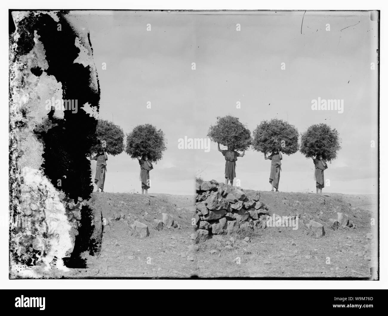 Arab peasant Cut Out Stock Images & Pictures - Alamy