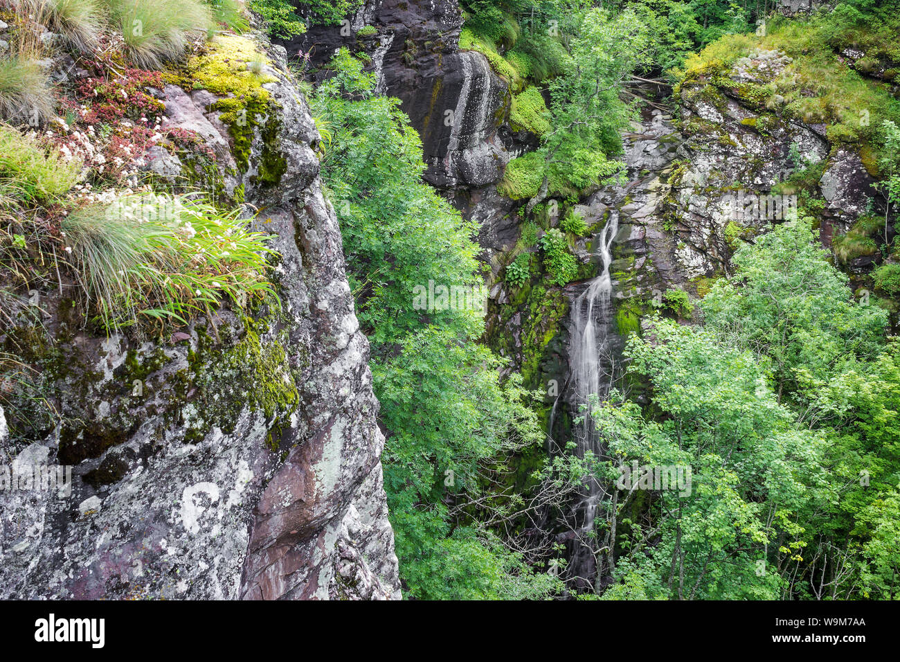 Beautiful colors of mountain cliff covered by vivid green and golden ...