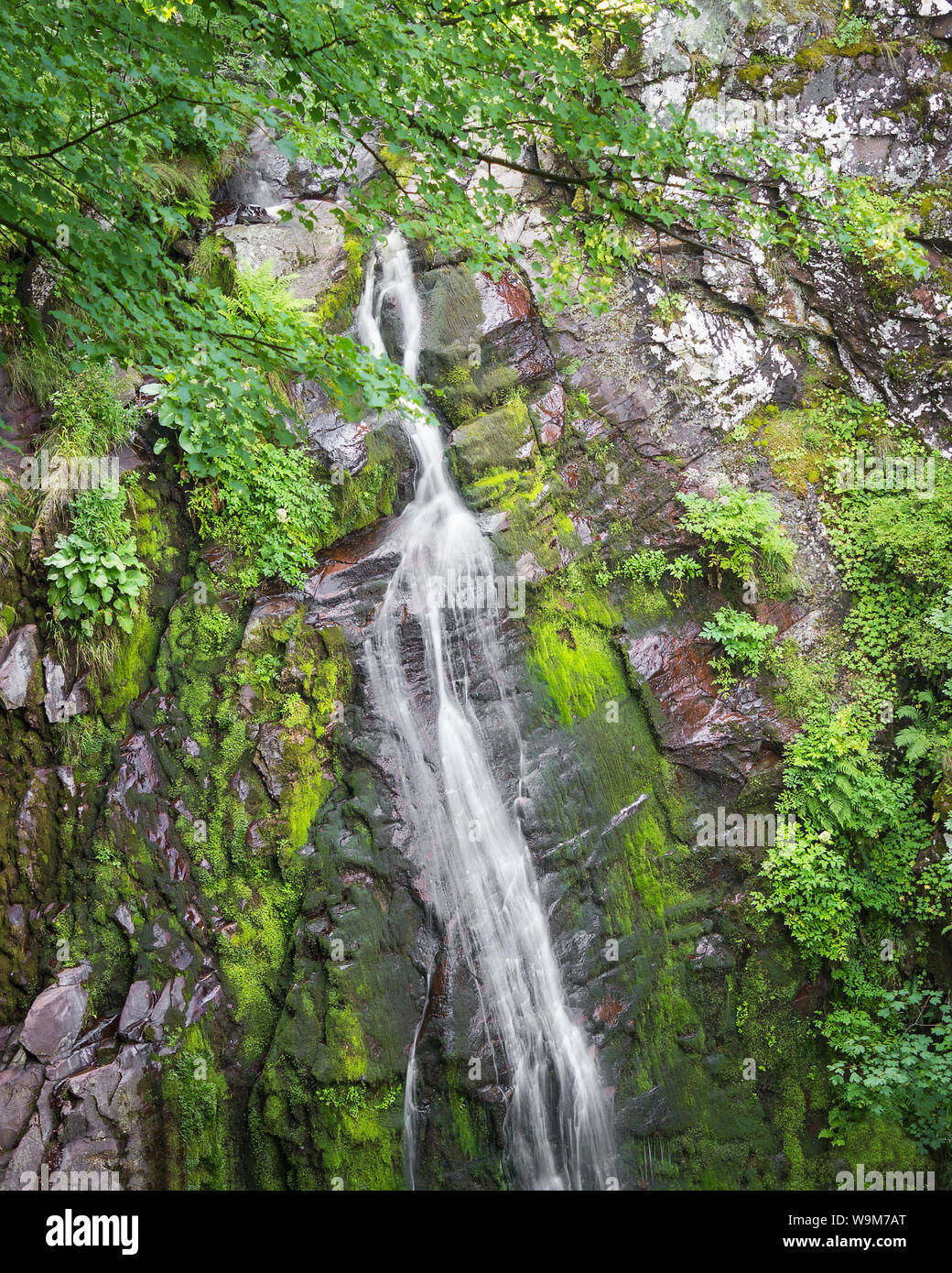 Beautiful colors of mountain cliff covered by vivid green and golden ...