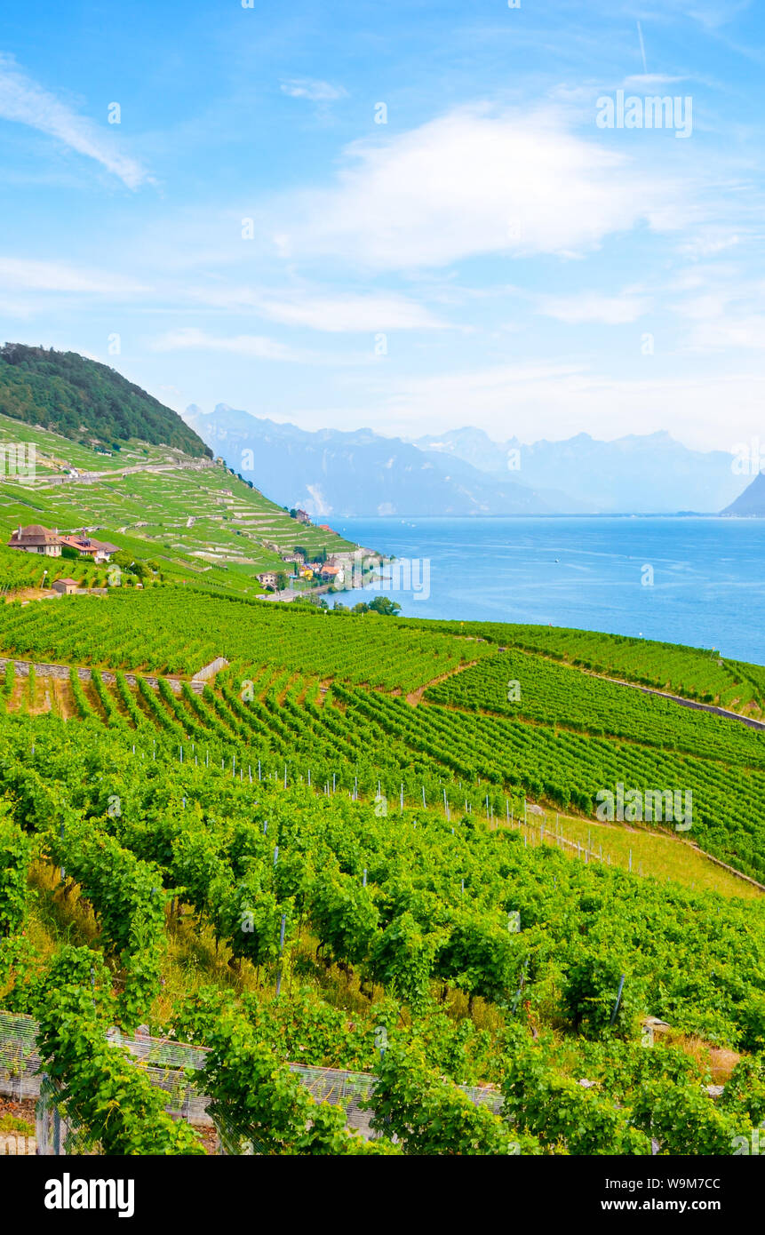 Geneva Summer High Resolution Stock Photography and Images - Alamy