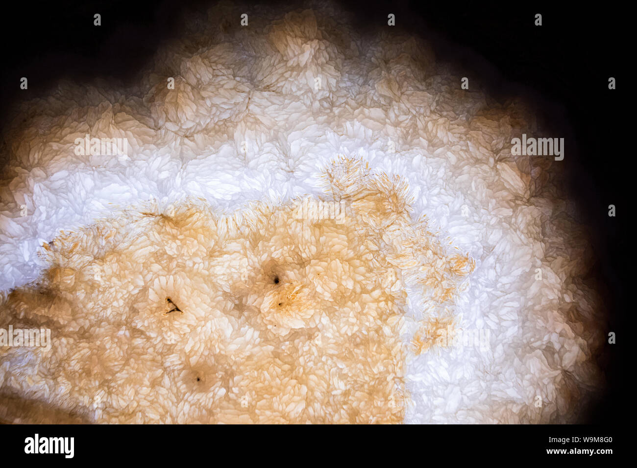 Variety of structure and texture of mineral stone, backlit background ...