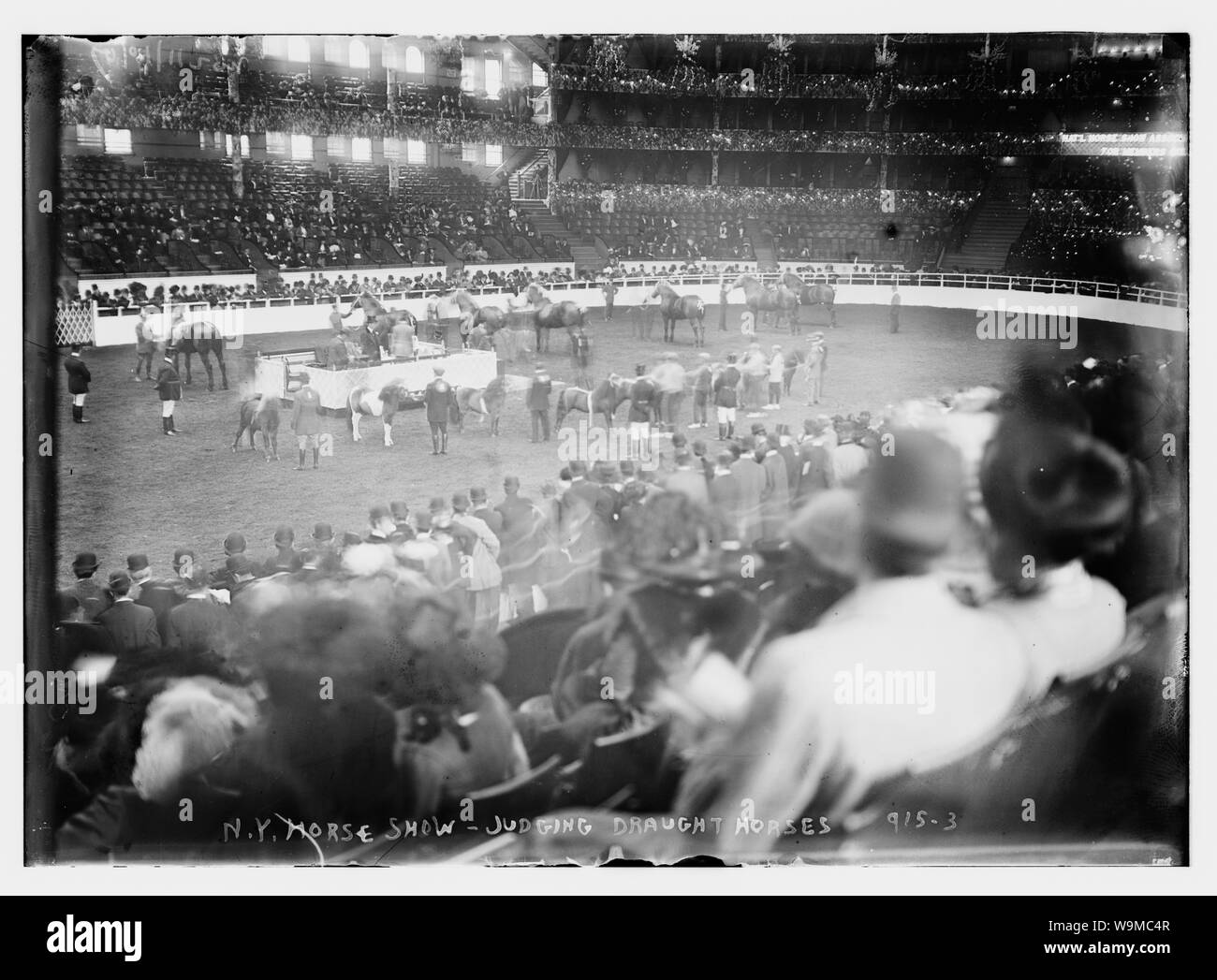 Arena of NY Horse Show, judging draught horses Stock Photo - Alamy