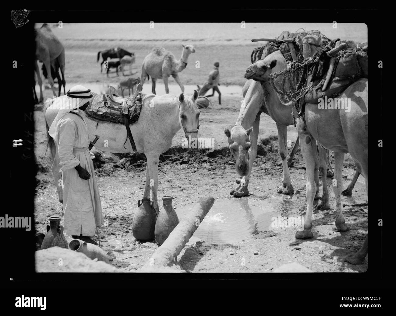 Aref el Aref & Bedouin sheikhs Stock Photo - Alamy