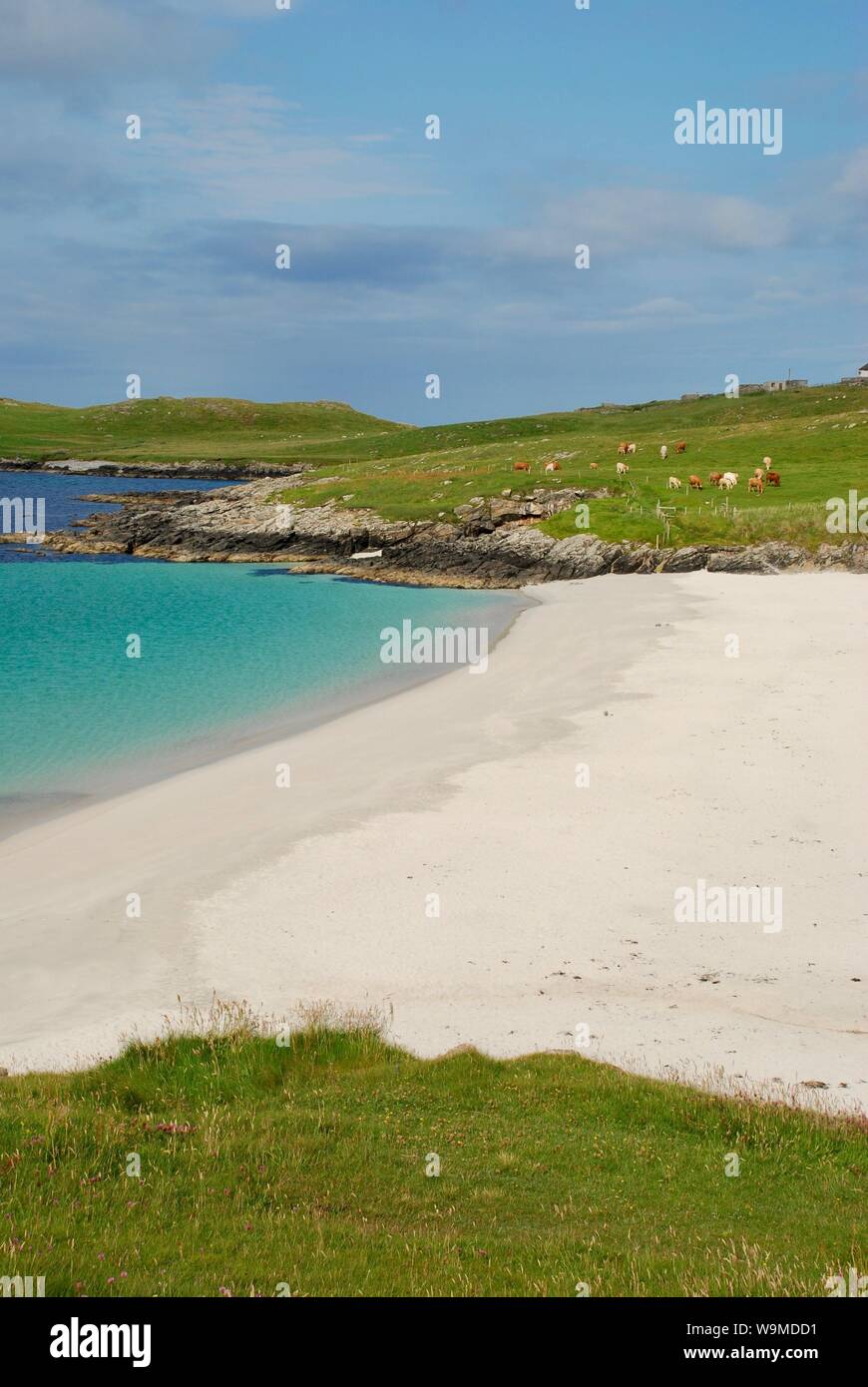 Shetland beaches hi-res stock photography and images - Alamy