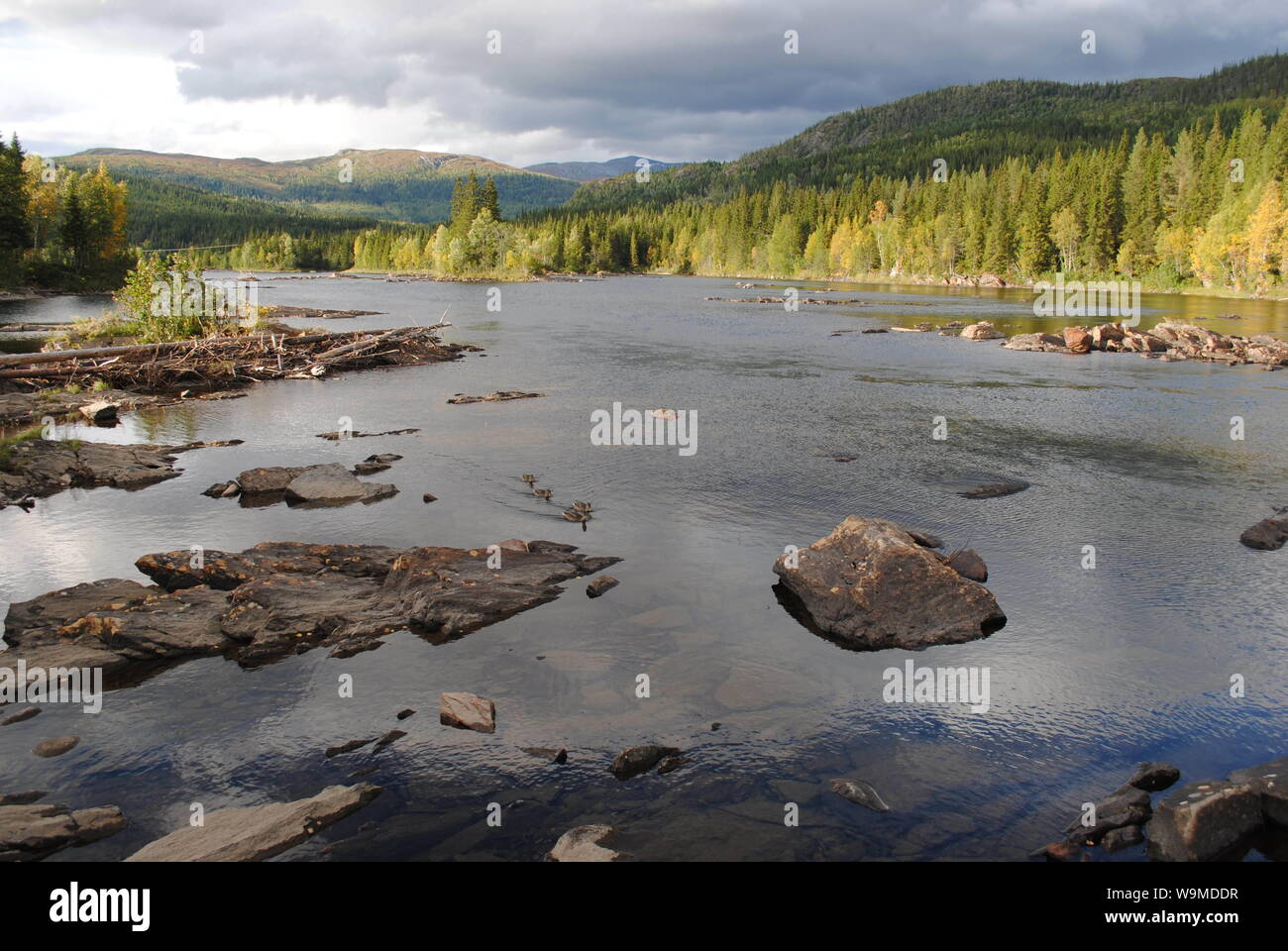 Stunning blue River with rocks and forest Stock Photo - Alamy