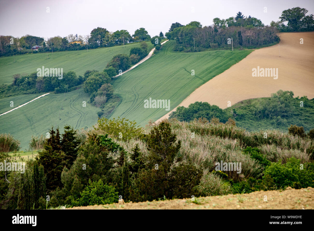 Beautiful countryside sunset marche hi-res stock photography and images ...