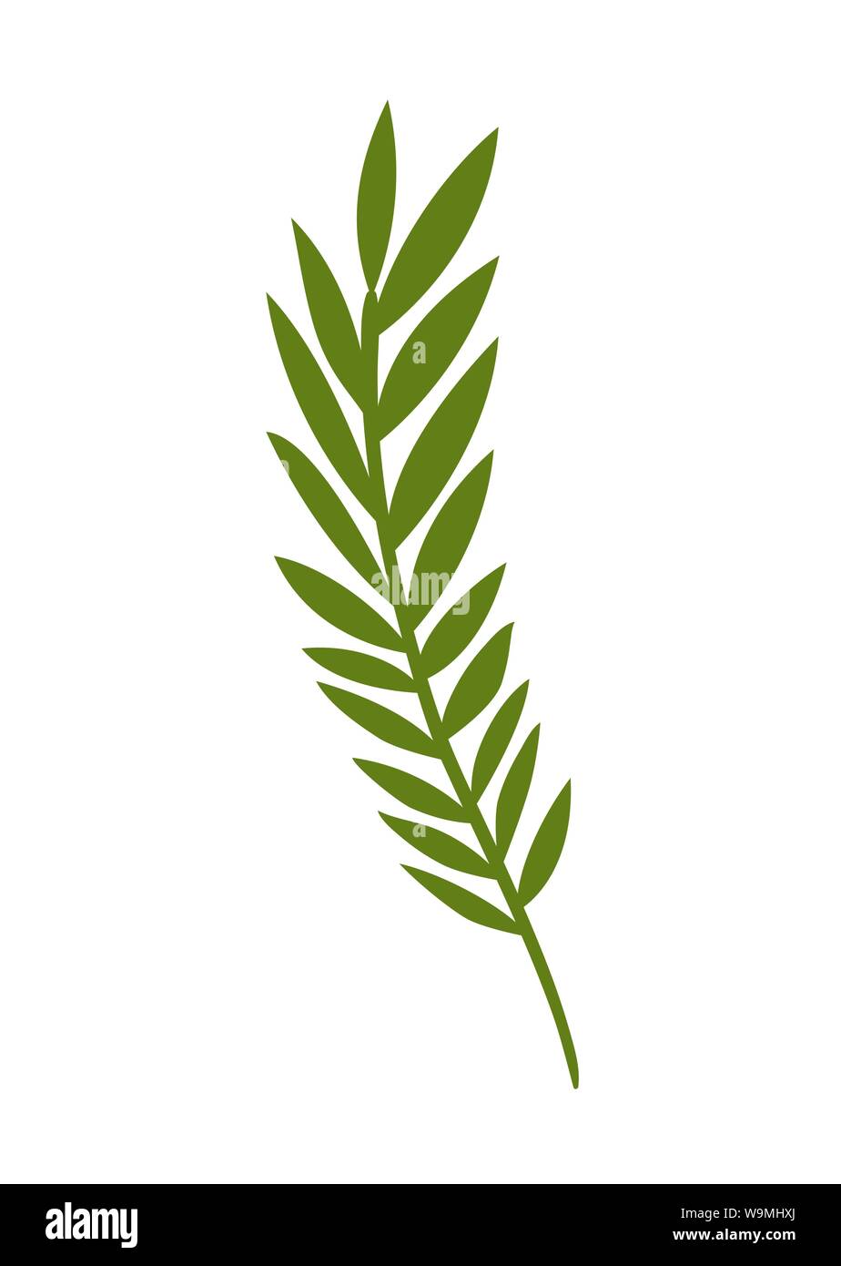 branch with leaves isolated icon Stock Vector Image & Art - Alamy