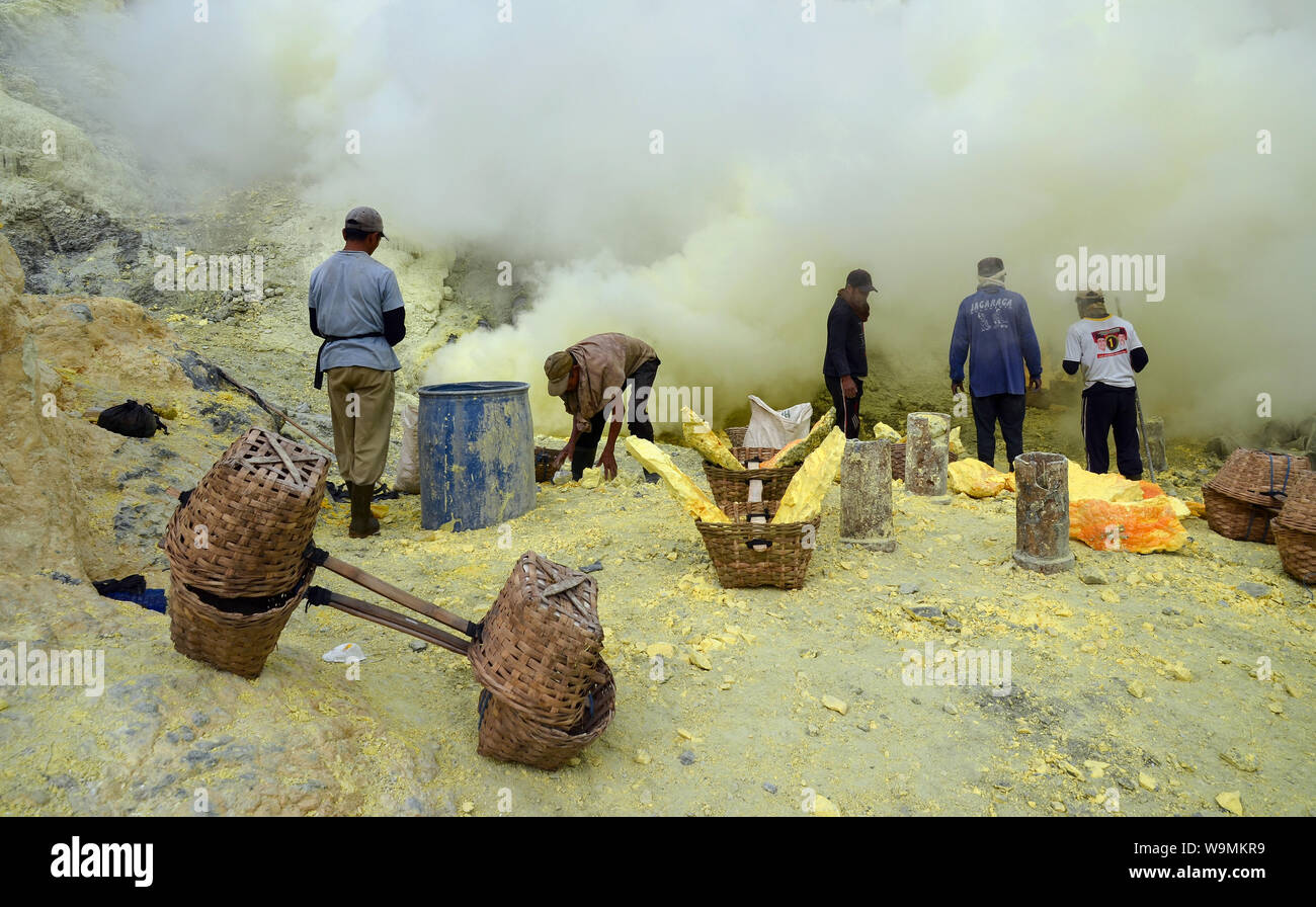 EAST JAVA, INDONESIA - May 18, 2014: miners extracting sulfur inside ...