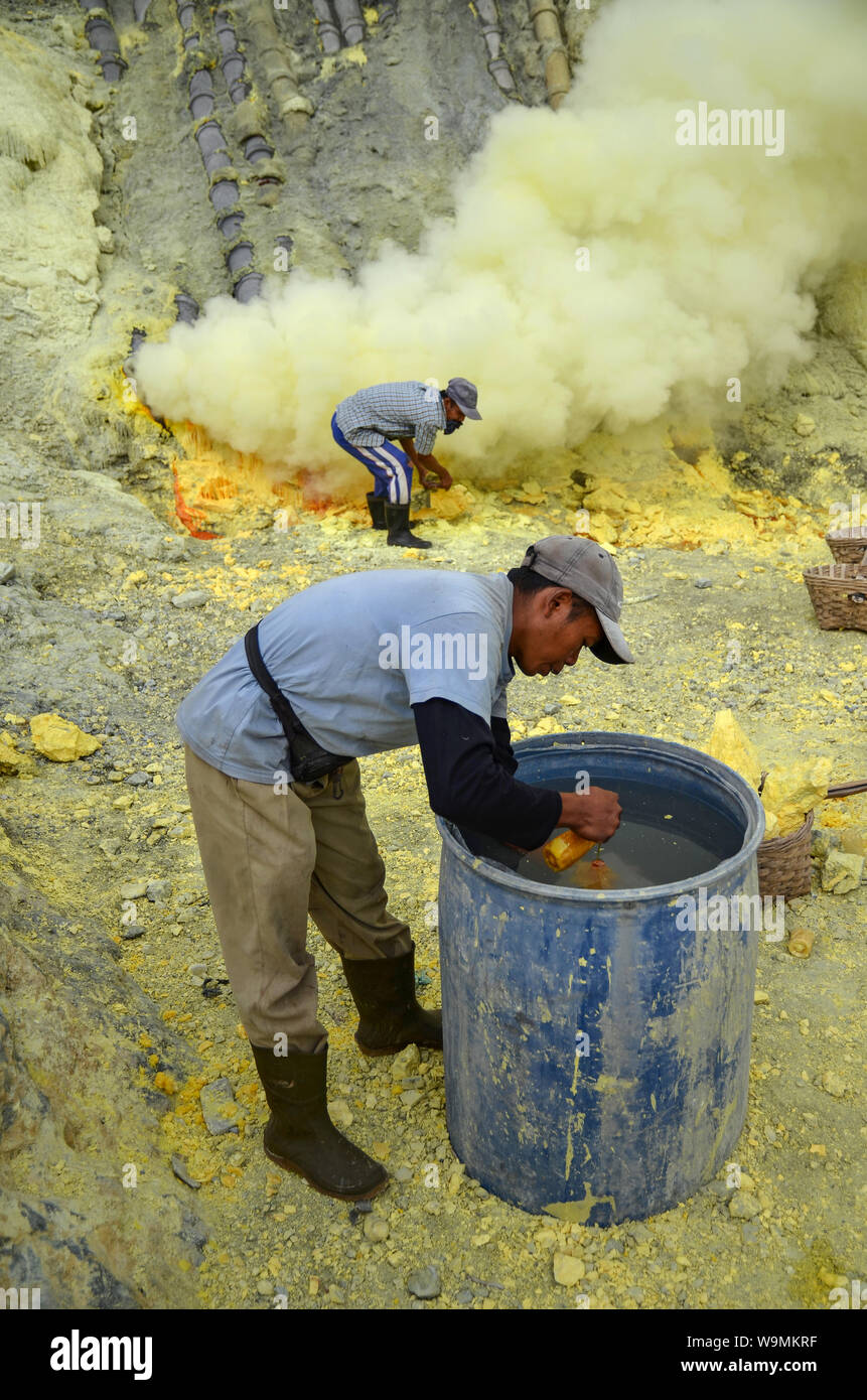 EAST JAVA, INDONESIA - May 18, 2014: miners extracting sulfur inside ...