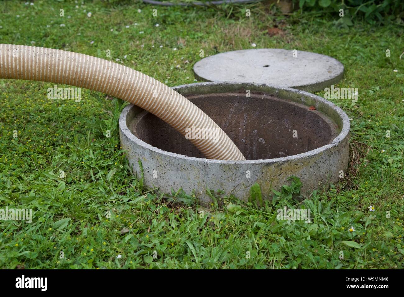 Septic tank: the removal of sewage sludge and cleaning of a domestic ...