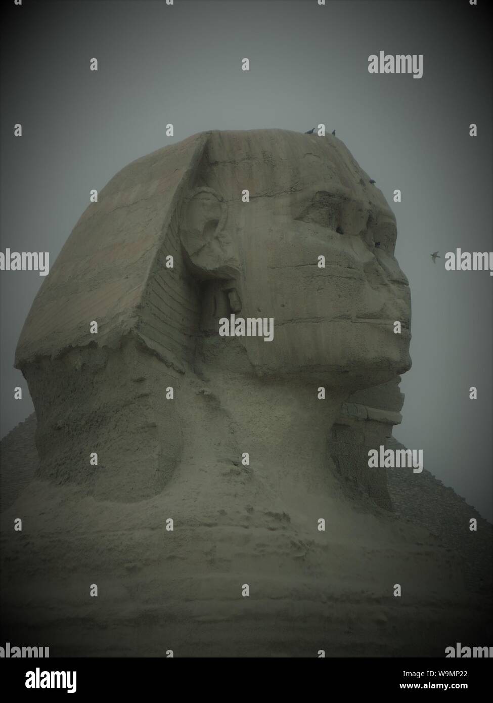 The Great Sphinx of Giza Stock Photo - Alamy