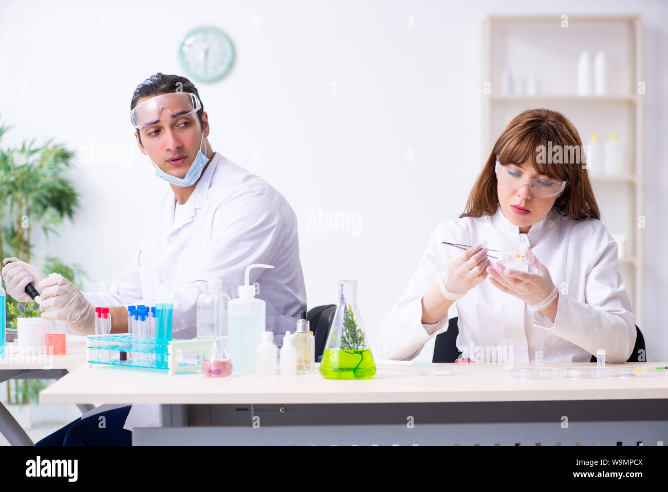 The two chemists working in the lab Stock Photo - Alamy