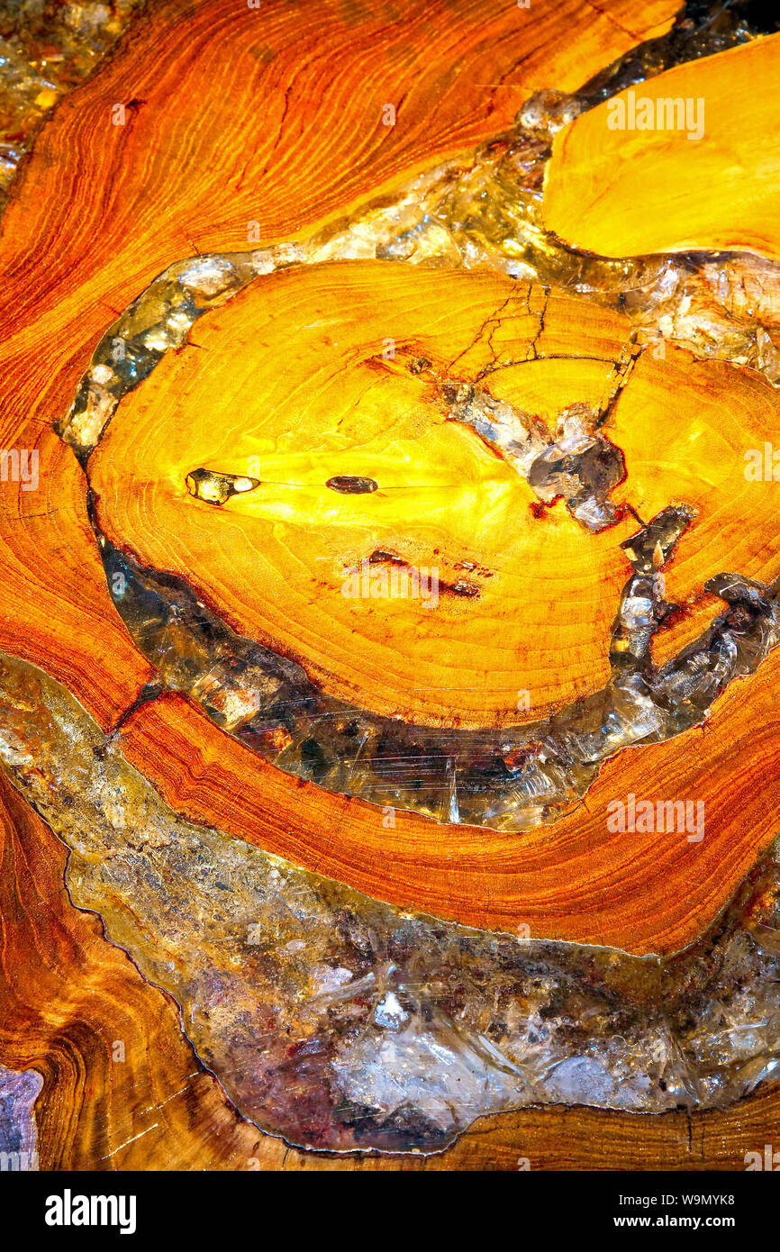 Wooden stump with resin hi-res stock photography and images - Alamy