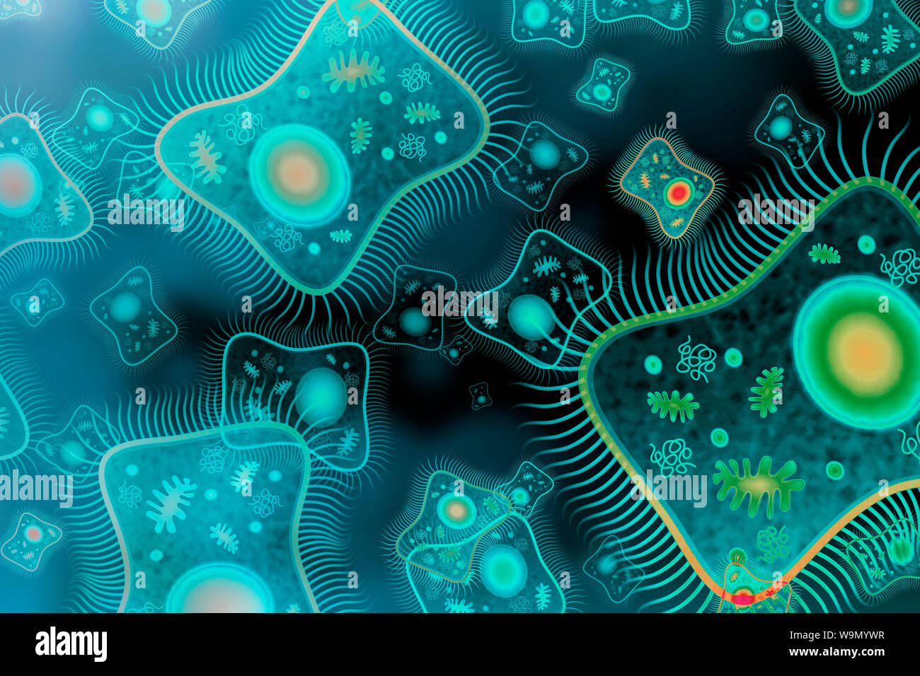 Biology High Resolution Stock Photography and Images - Alamy