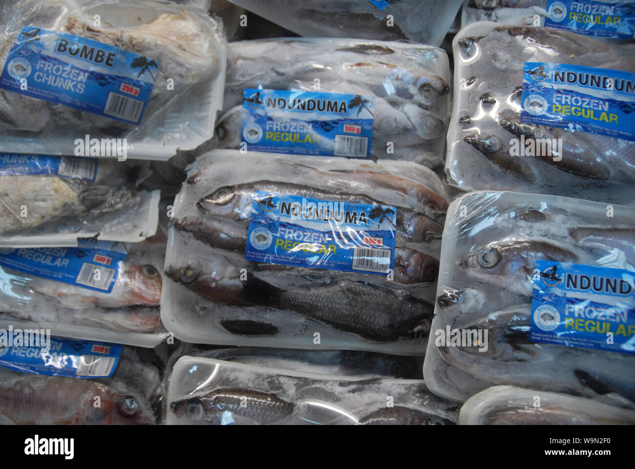 Frozen Fish In Freezer at Donald Cambron blog