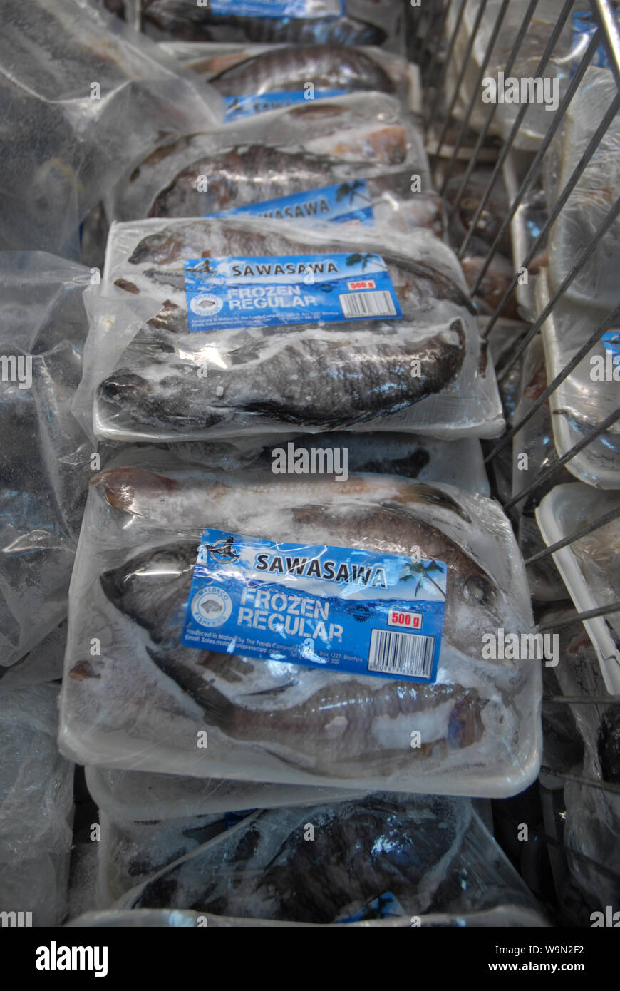 Frozen Fish In Freezer at Donald Cambron blog