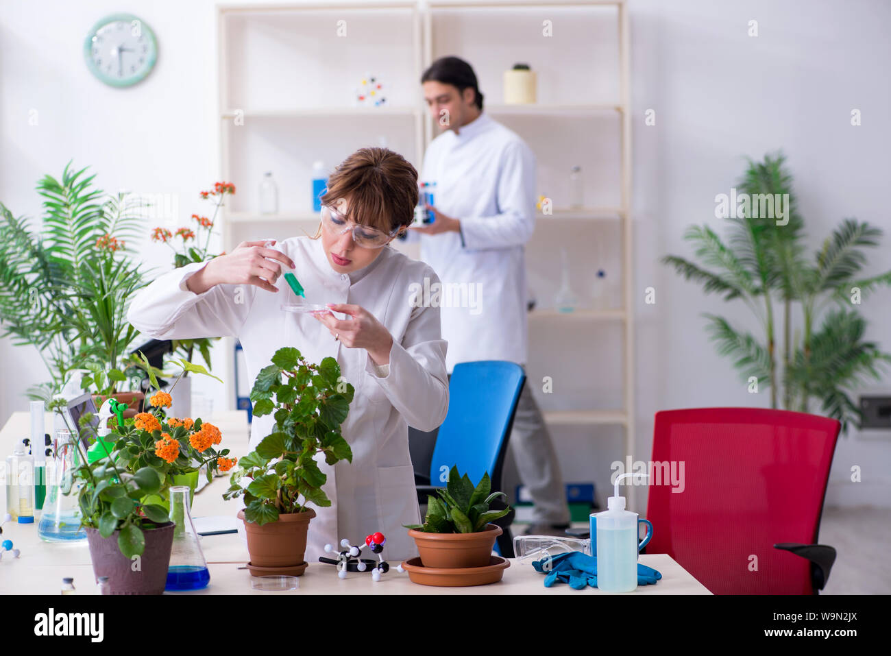 The two young botanist working in the lab Stock Photo - Alamy