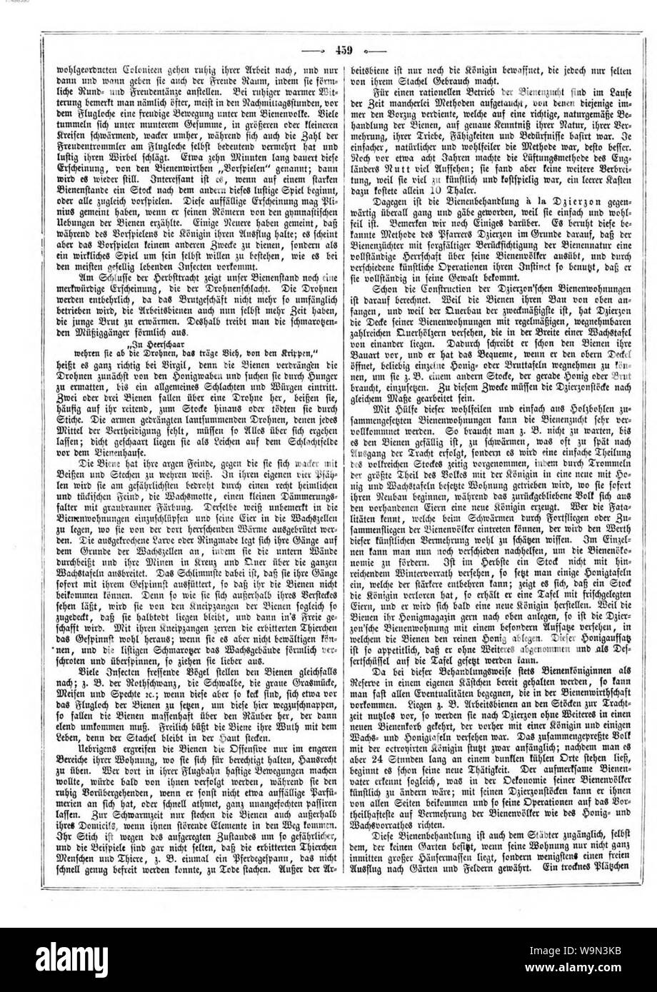 Die Gartenlaube (1857) 459 Stock Photo - Alamy