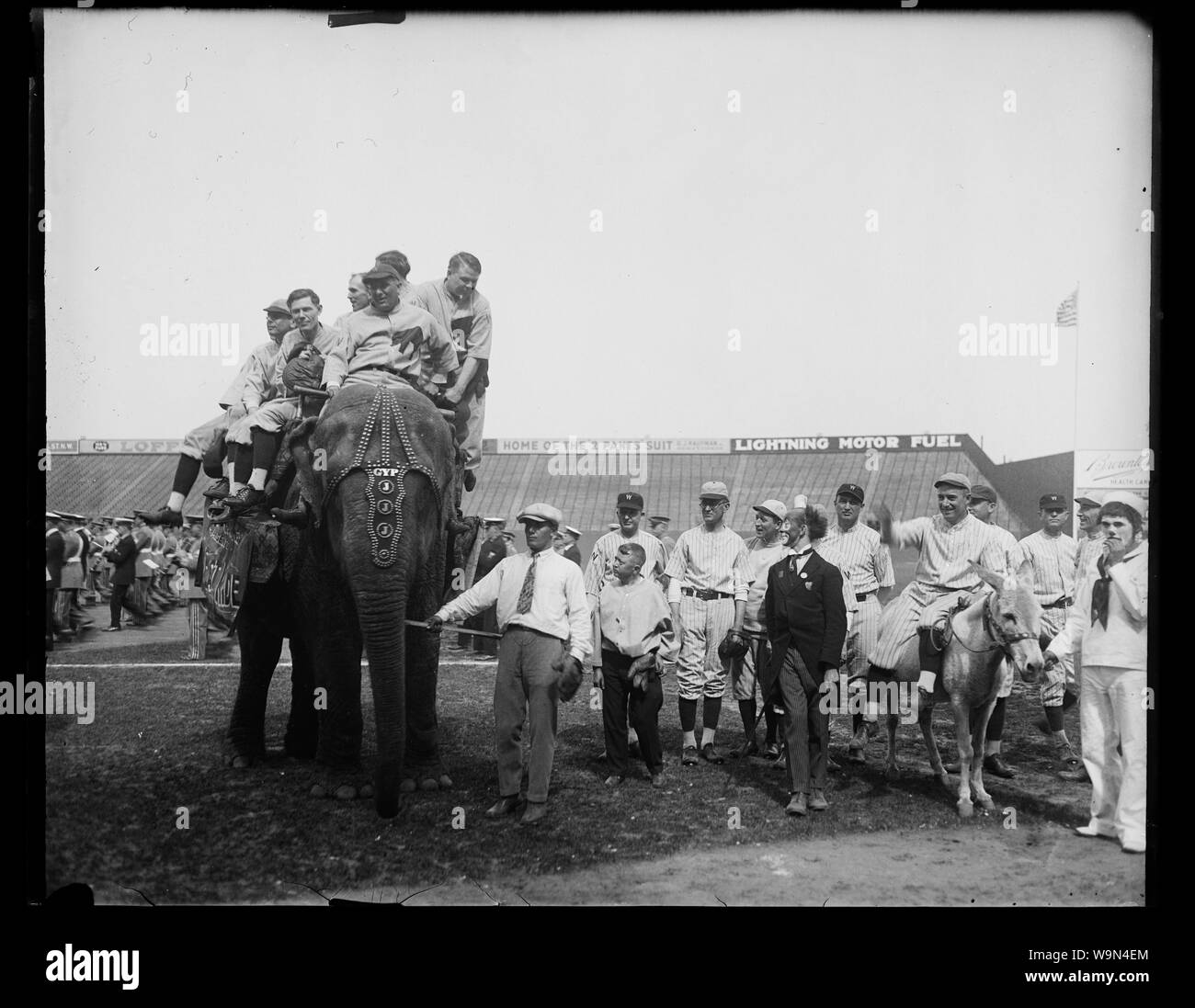Baseball players and elephant Stock Photo - Alamy