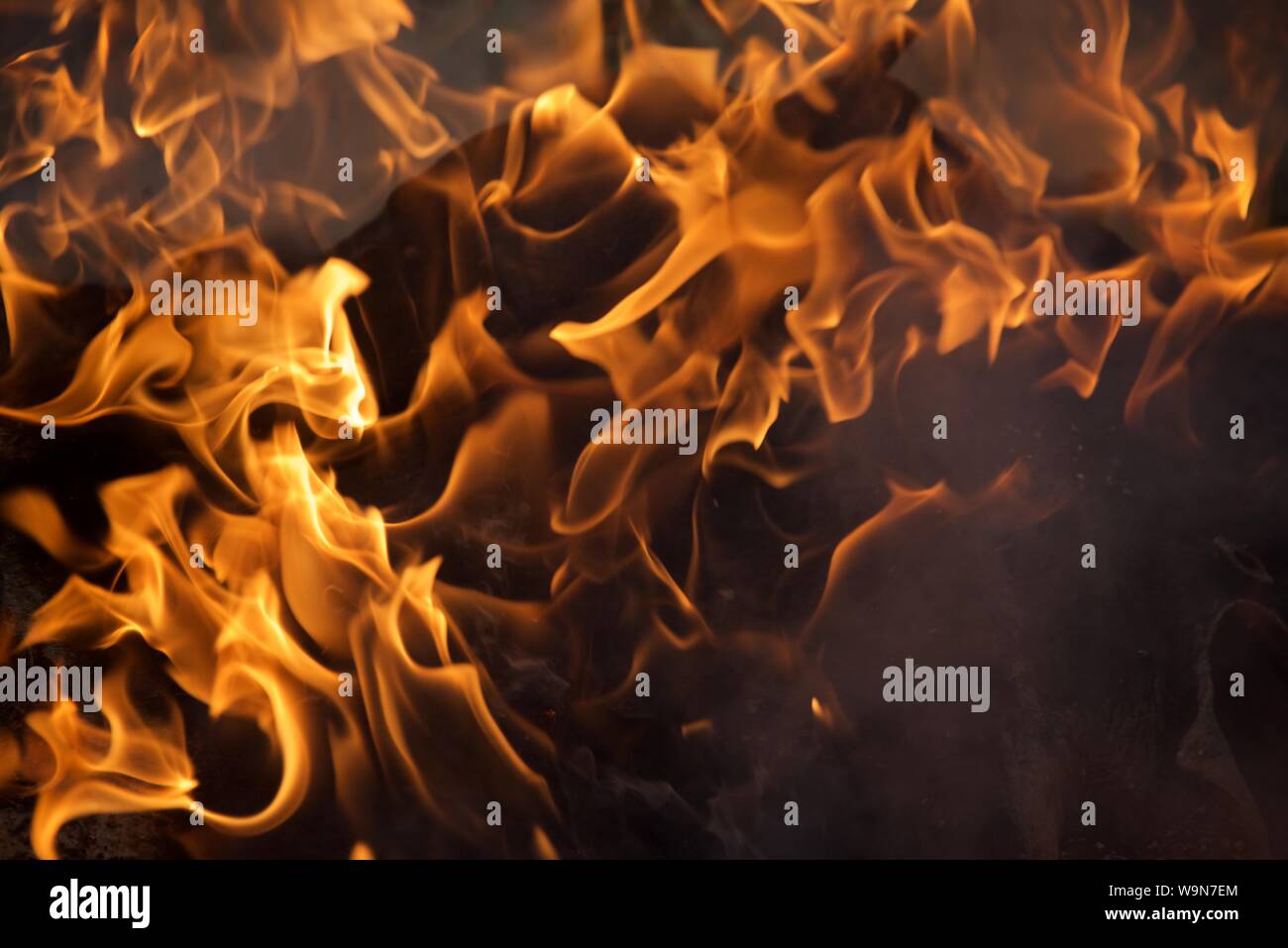 Fire: dancing flames rising from a garden bonfire Stock Photo - Alamy