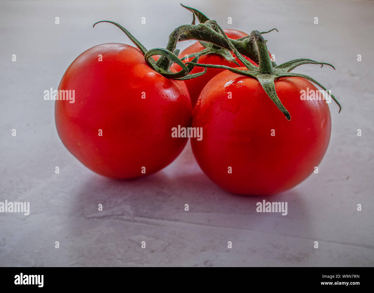 Side view of three large red tomatoes on the vine on a plain white ...