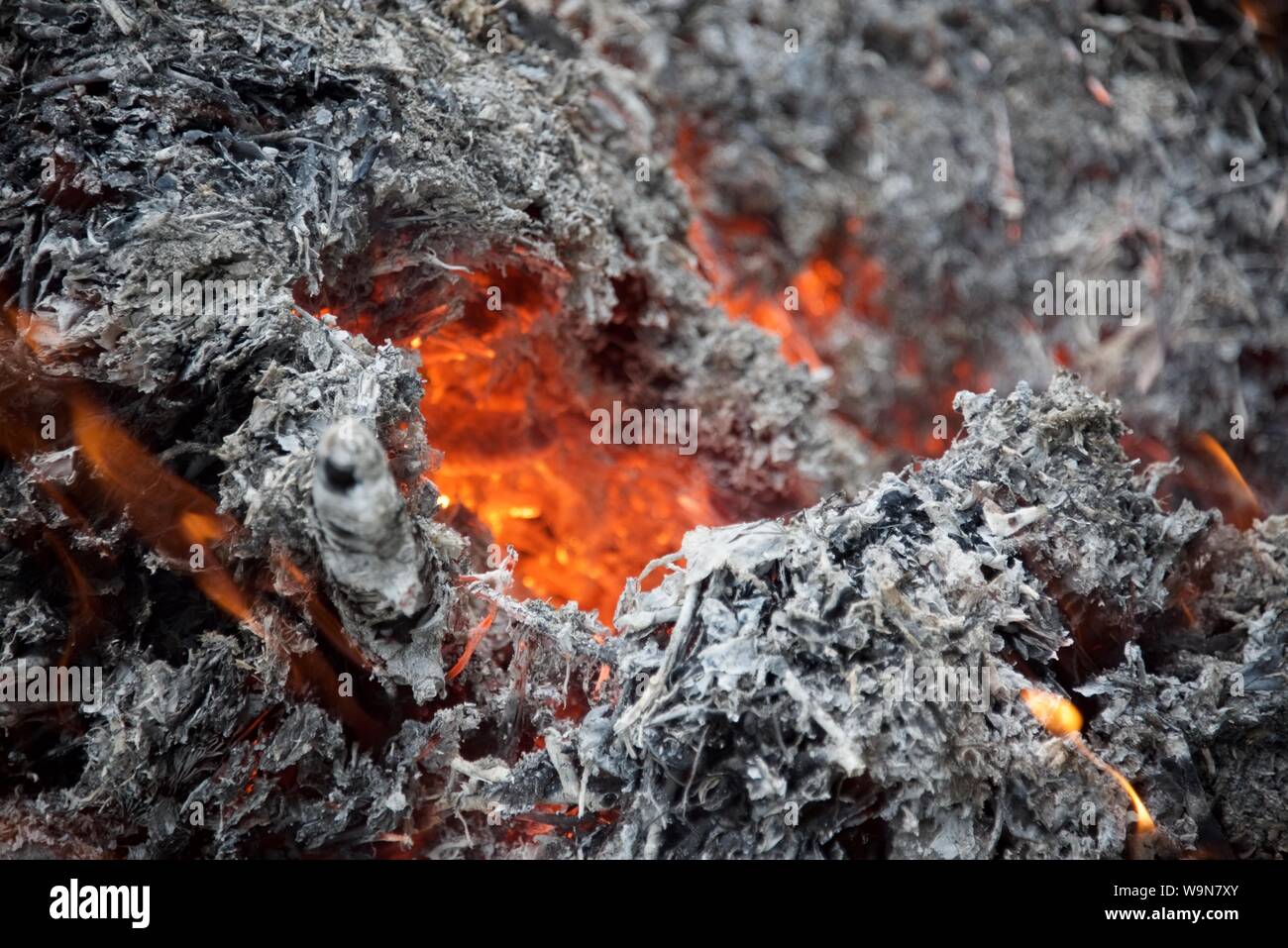 Hot ash: close up of glowing embers of a garden bonfire Stock Photo - Alamy