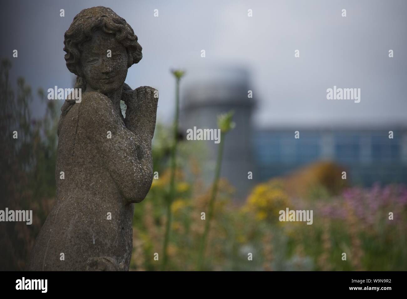 Roger de haan saga hi-res stock photography and images - Alamy