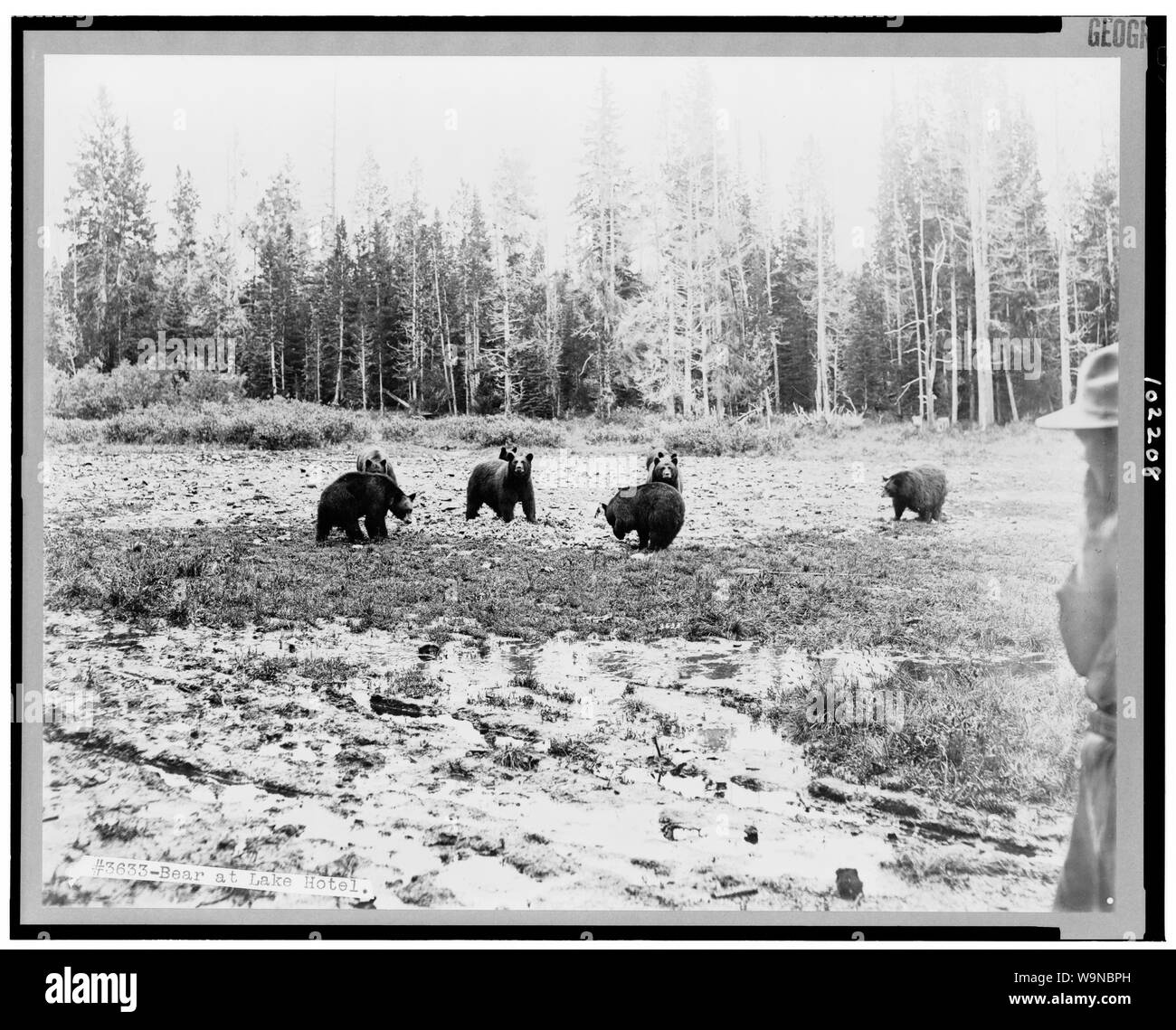 North sanctuary Cut Out Stock Images & Pictures - Alamy