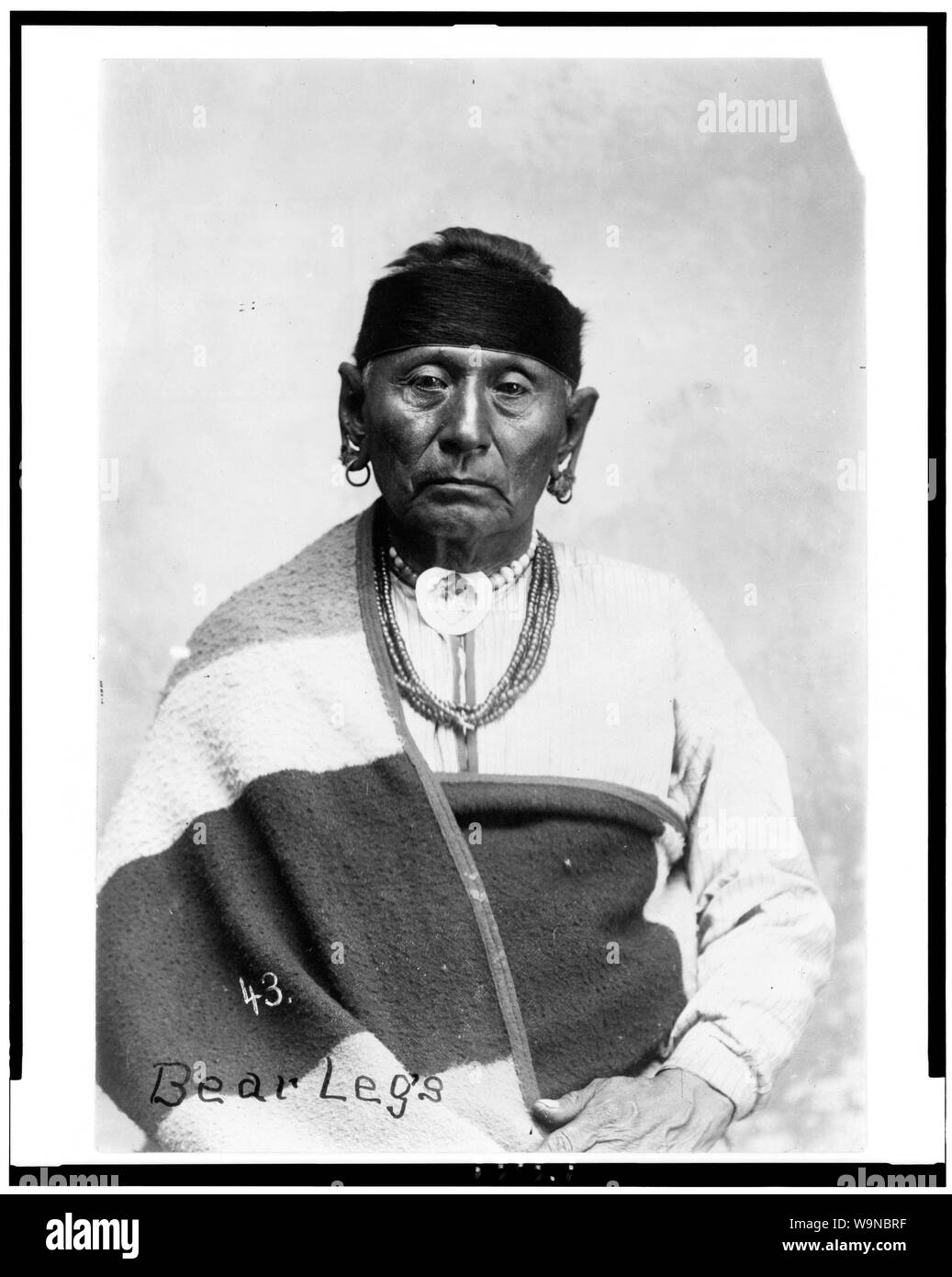 Bear legs Black and White Stock Photos & Images - Alamy