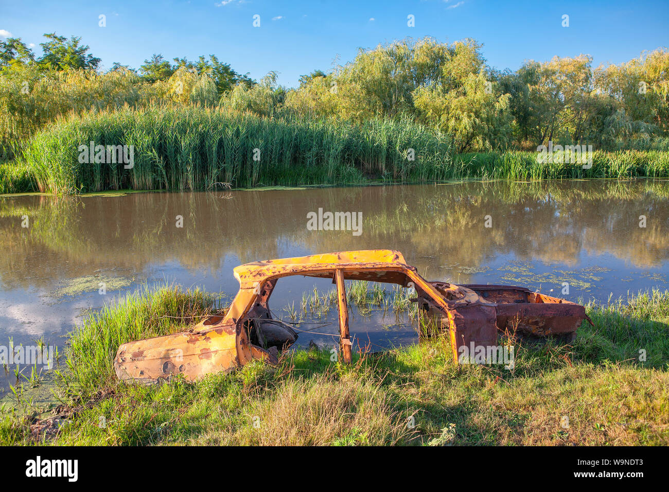 rusty car frame in the swamp water Stock Photo - Alamy