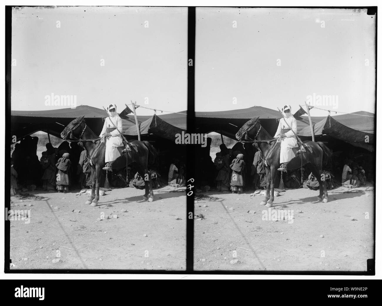 Bedouin wedding series. Bedouin youth mounted Stock Photo - Alamy