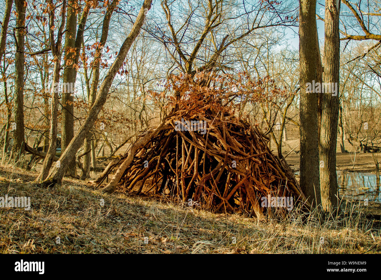 tent house made from dry branches of trees founded in the forest ...