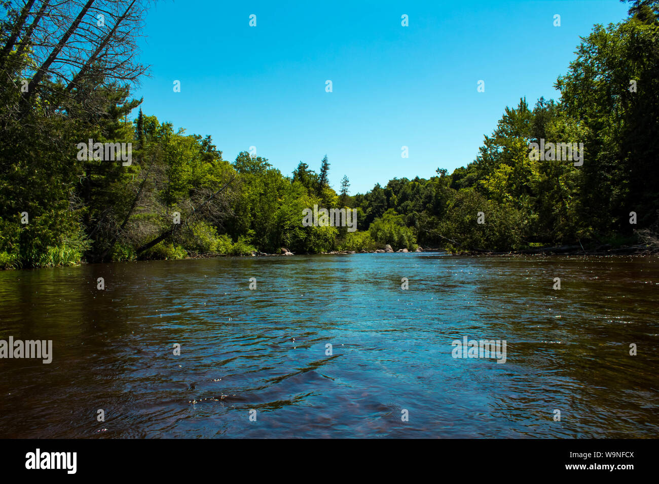 Beautiful Landscape On The Wolf River With Rocks And River weed and ...