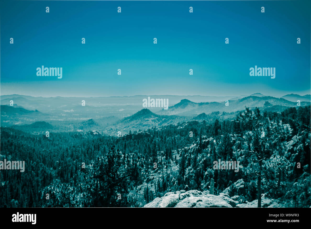 Monotonously edited mountains with forest in fog , Black hills national ...