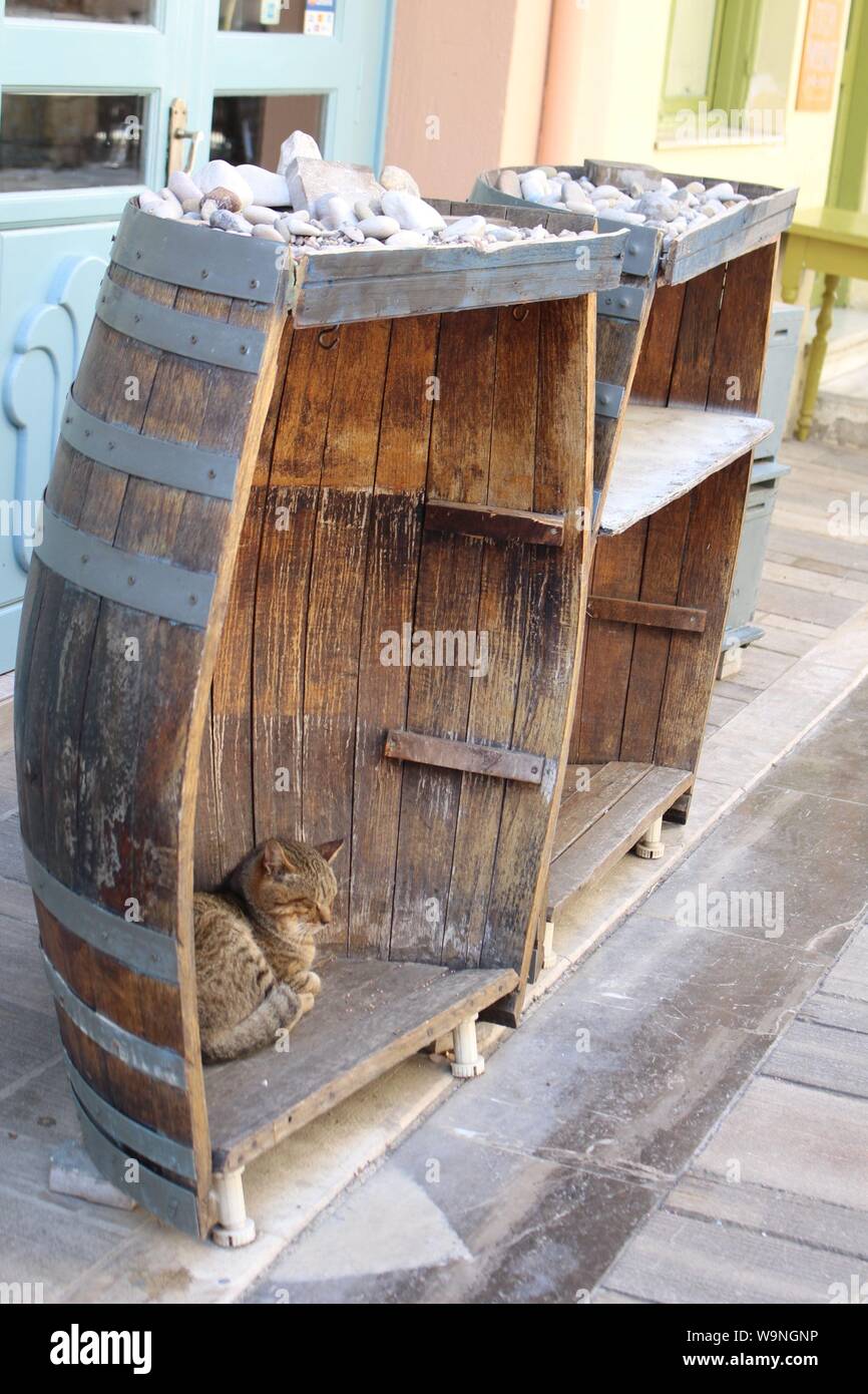Cat in a barrel Greece Stock Photo - Alamy