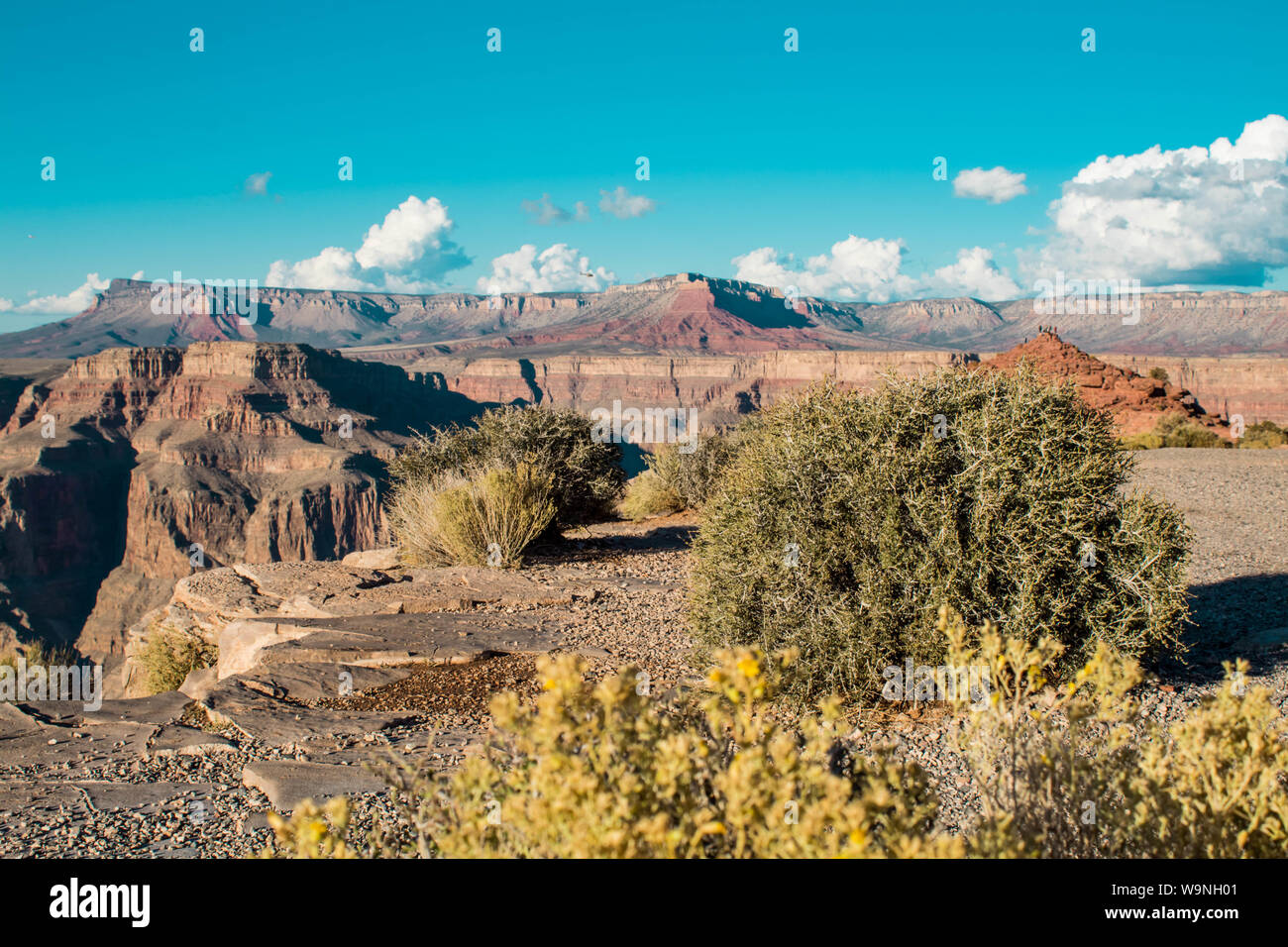 beautiful grand canyon landscape Arizona USA Stock Photo - Alamy