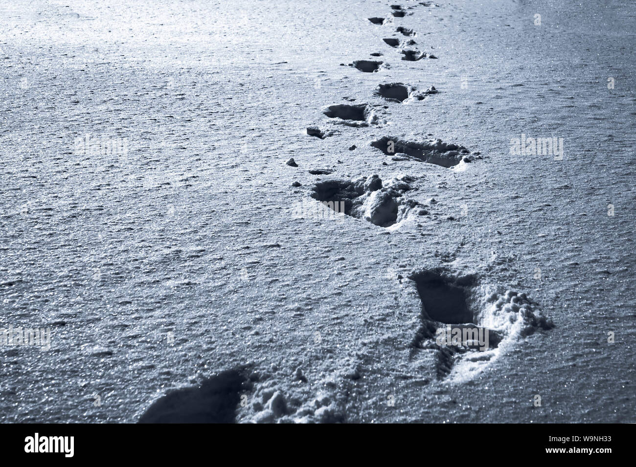 Deep snow footprints background going perspective Stock Photo - Alamy