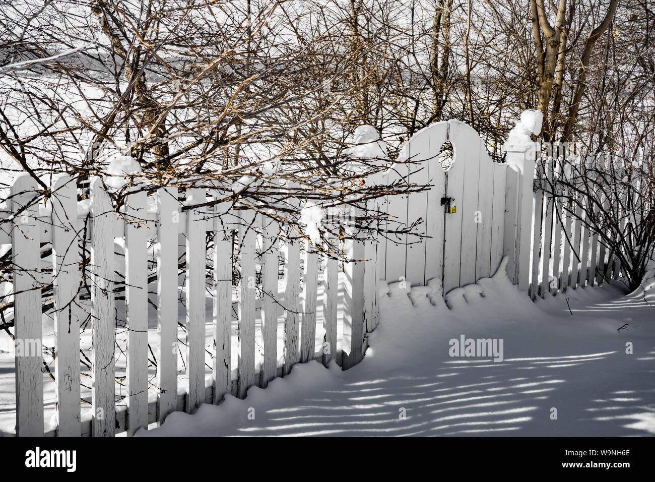 snowy-covered white fence and locked gate at winter garden Stock Photo ...