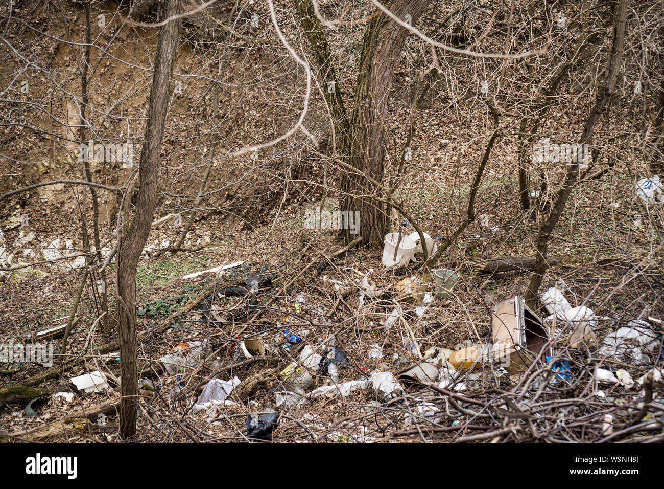 Nature pollution , people throws the garbage in the forest , Dumping ...